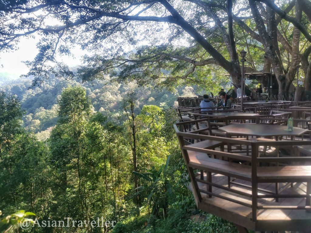 【The Giant Chiangmai】Superb view tree cafe standing on a huge tree ...