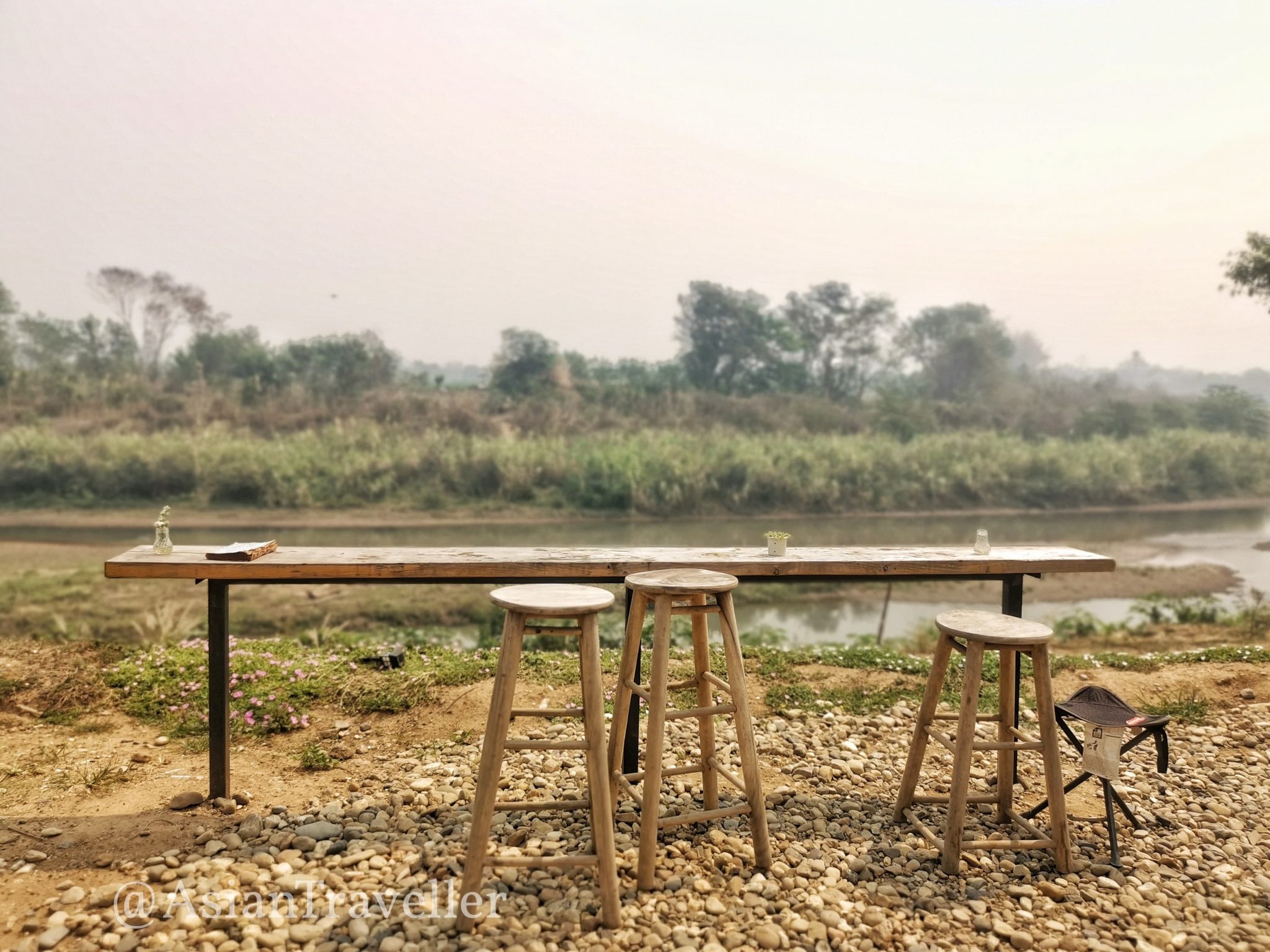 【Elely Café】Elephant in a lovely cafe! by the Ping river at Chiang Mai ...