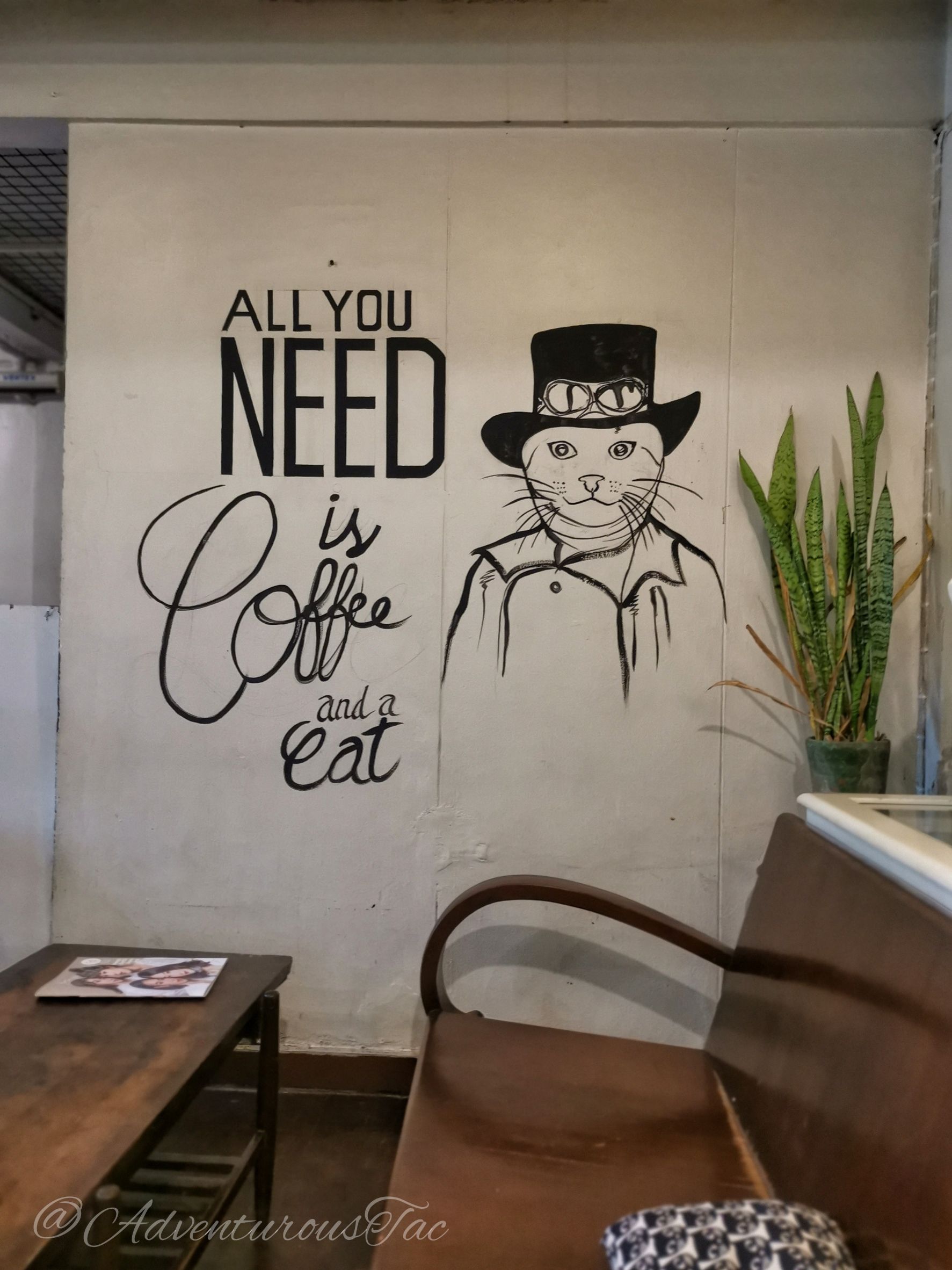 【CatNip Cafe】シーロムからも気軽に行けるローカルな猫カフェ | Asian Traveller from バンコク